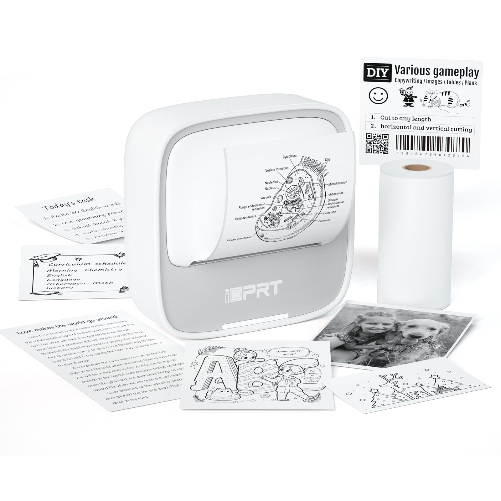 iDPRT S1 Inkless Mini Printer with 1 Roll Sticker Paper – hprt.shop